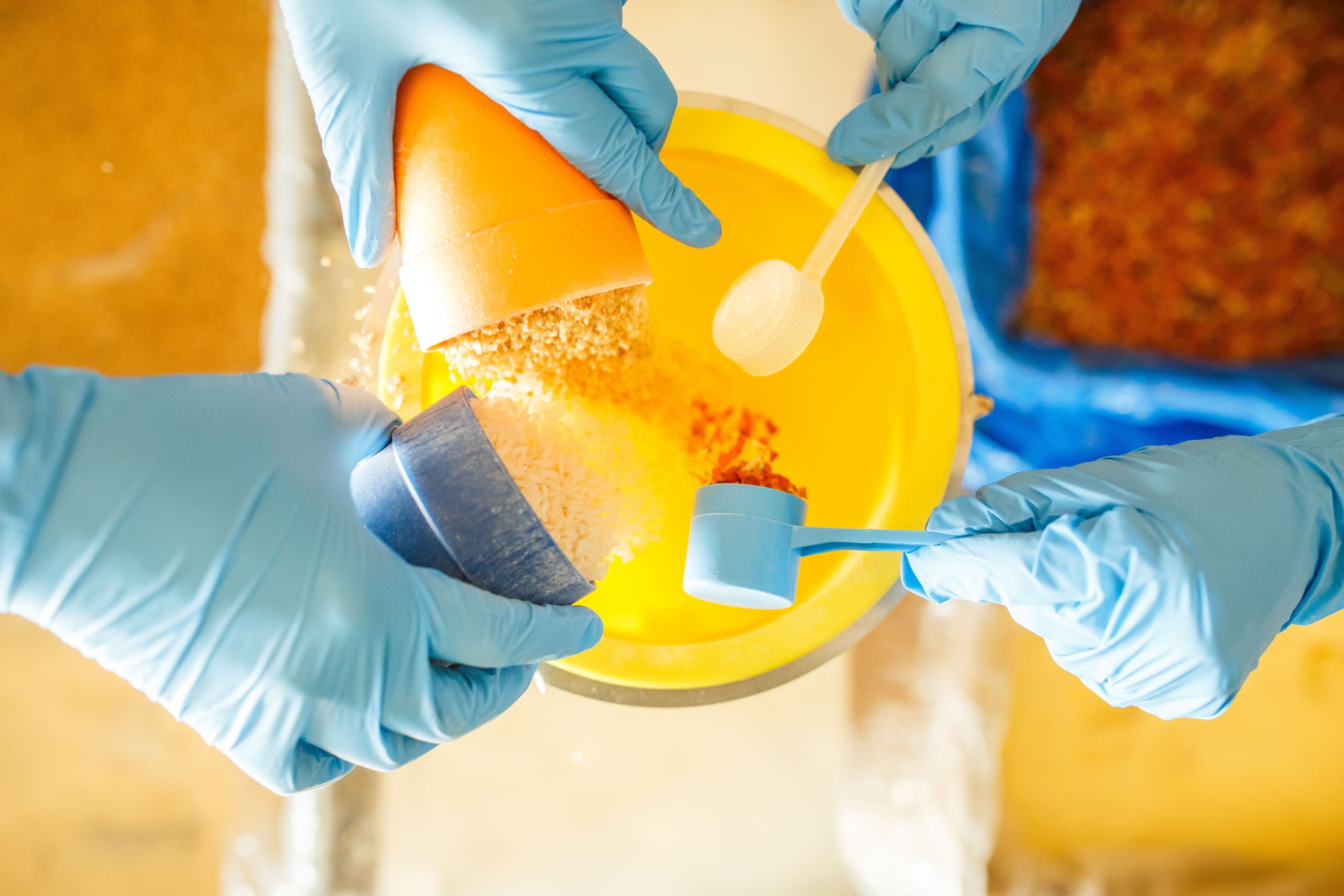 Individual Volunteers - Lifeline Christian Mission